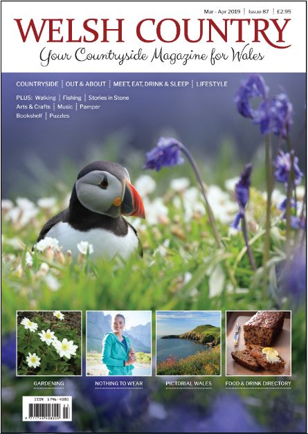Welsh Country featuring Dermaworks Spectaculash Eye Lash & Eye Brow gr